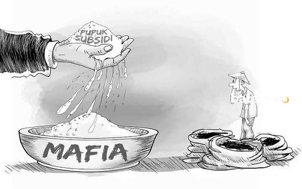 Kejati Kepri Usut Jejak Mafia Pupuk, Distribusi Pupuk Subsidi Diduga ...
