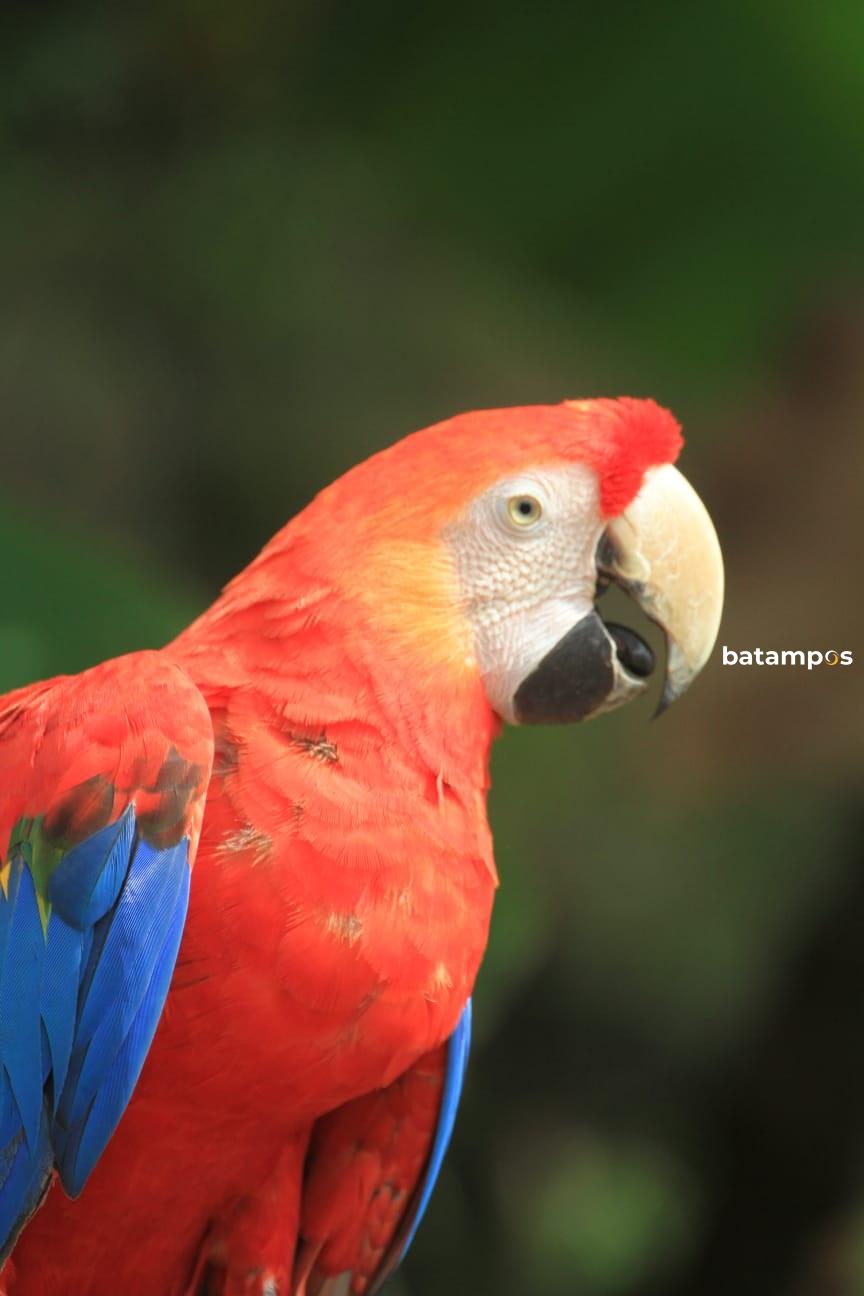 Panbil Nature Reserve Eco Edu Park Berlakukan Tarif Masuk, Anak Usia 2 ...