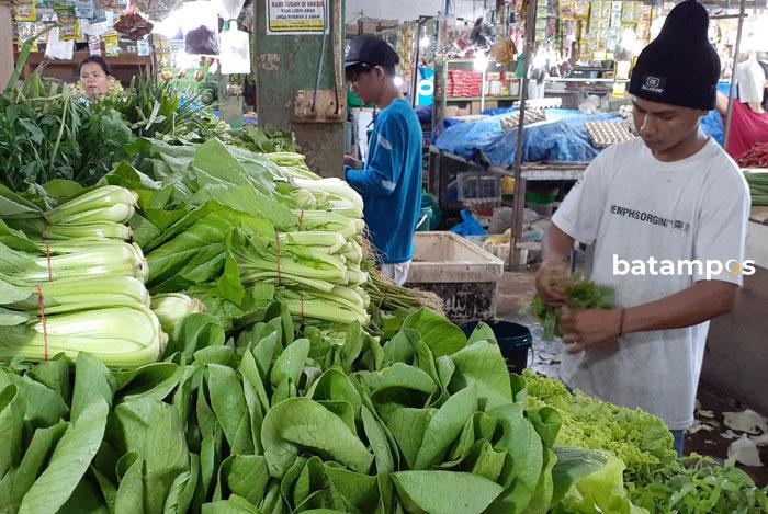 Petani Sayur di Batam Gagal Panen - Metropolis